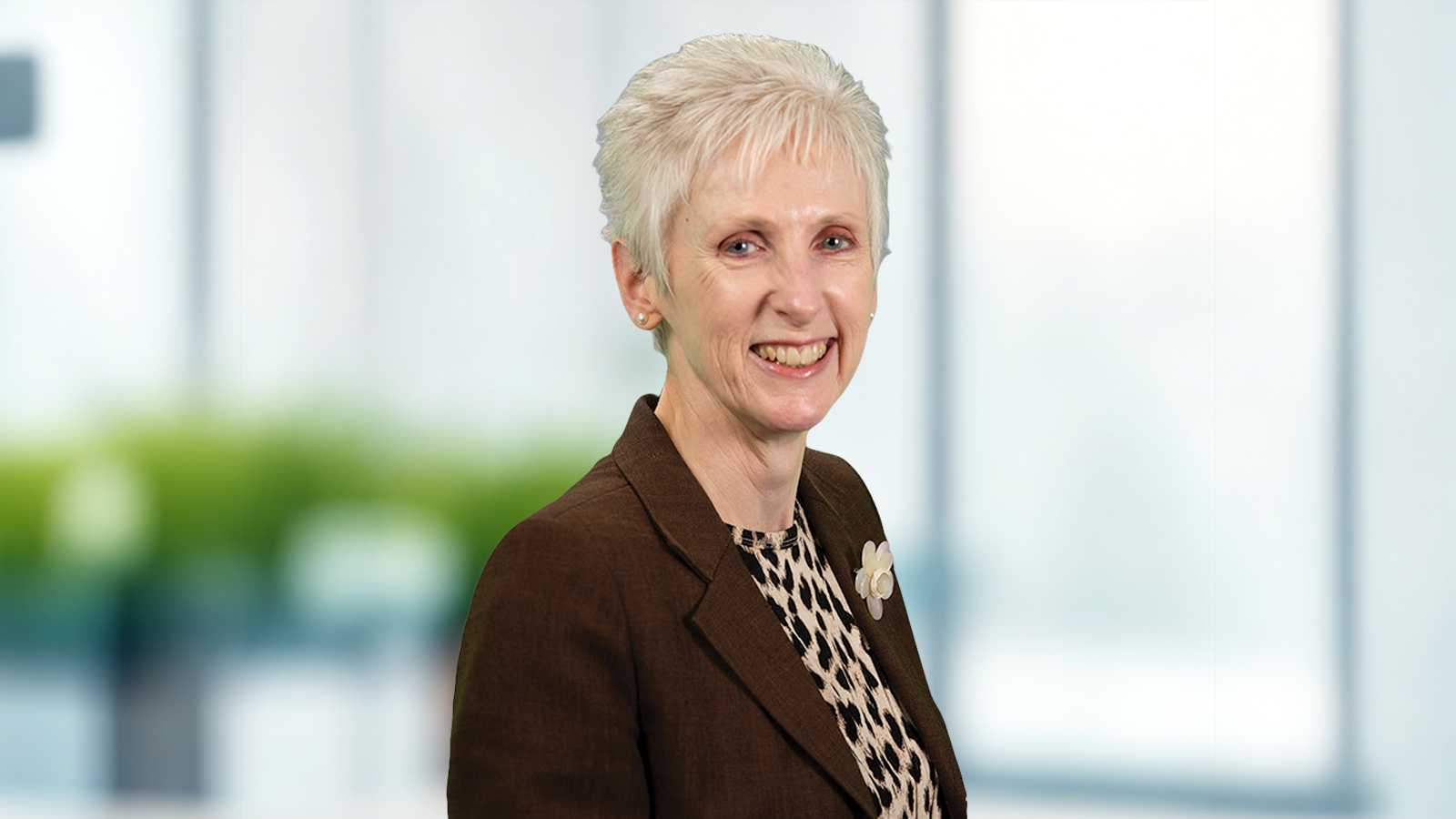 Associate Professor Diane Kalendra | Australian Institute of Business